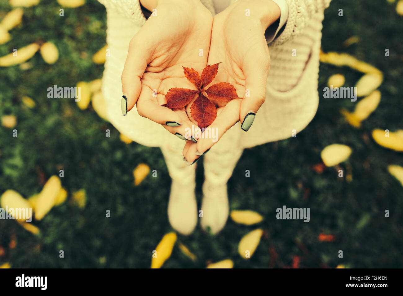 Hands toned in colors hi-res stock photography and images - Alamy