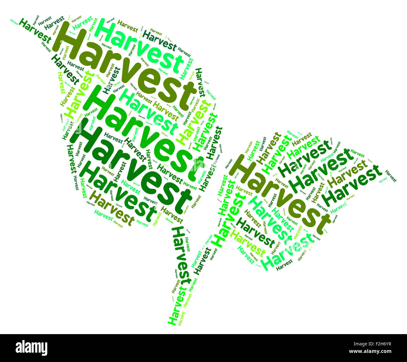 Grain yields Cut Out Stock Images & Pictures - Alamy