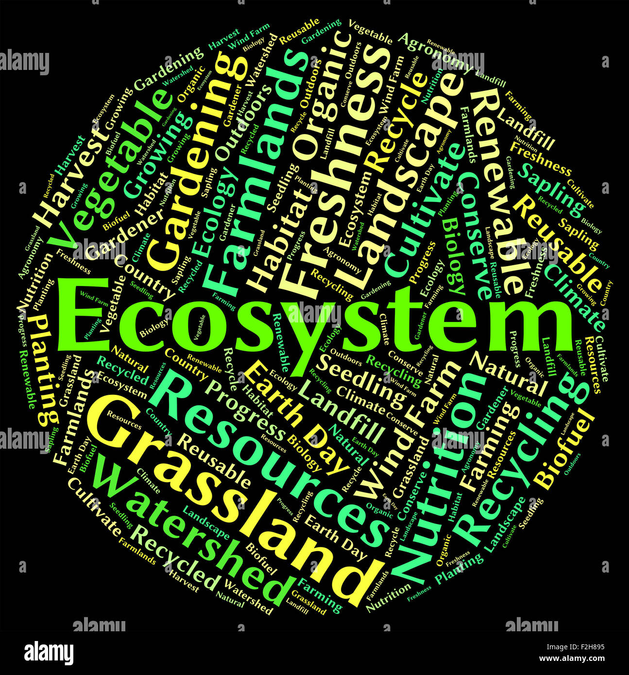 Ecosystem word showing eco biosystem and ecology Stock Photo - Alamy