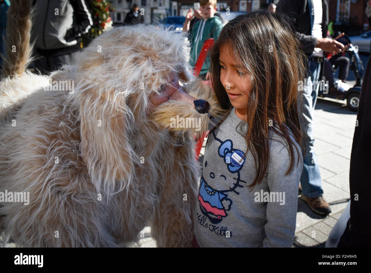 Child acting dog hi-res stock photography and images - Alamy