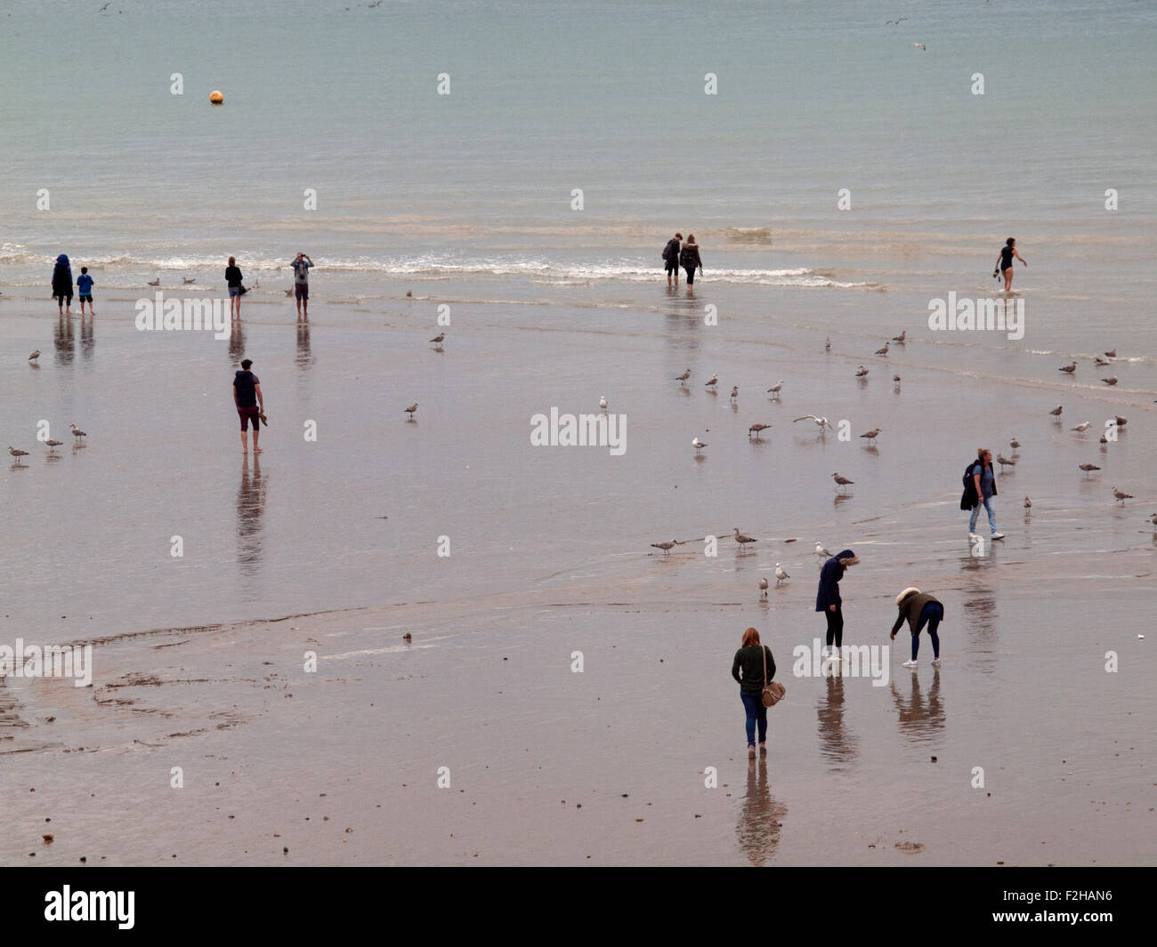 People having fun at the water's edge during a low tide in Brighton ...