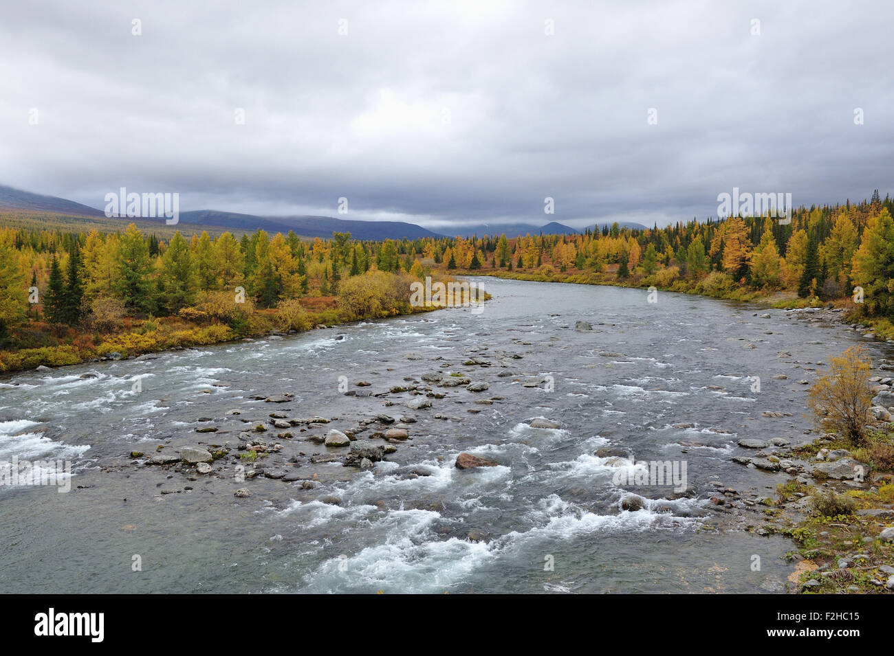 River of ural mountains. Sub-polar Ural Stock Photo - Alamy