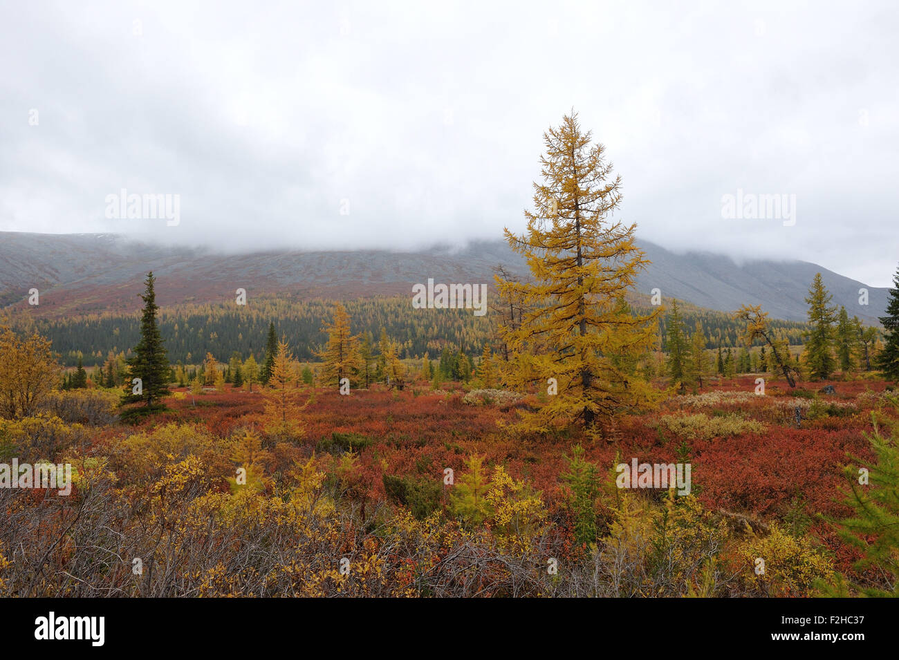 Mountains and tundra hi-res stock photography and images - Alamy