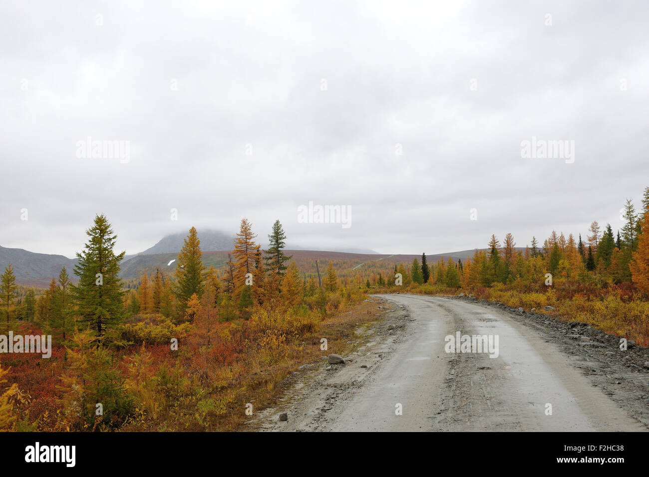 Sub-polar ural mountains. Tundra landscape Stock Photo - Alamy