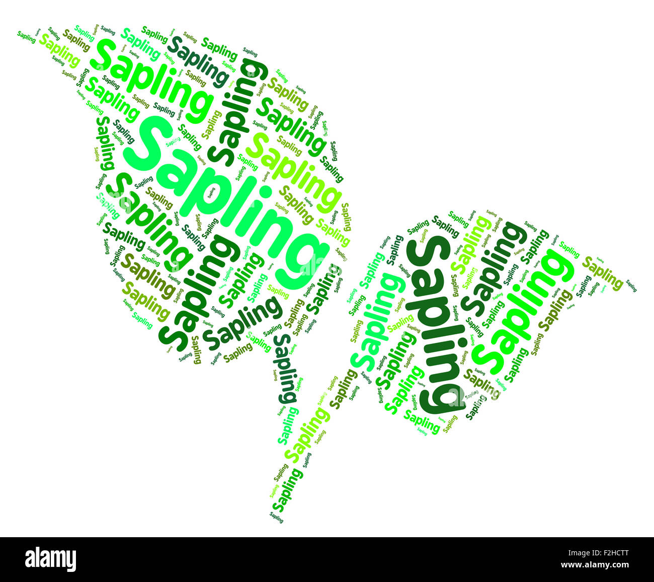 Sapling Word Indicating Tree Trunk And Sows Stock Photo - Alamy