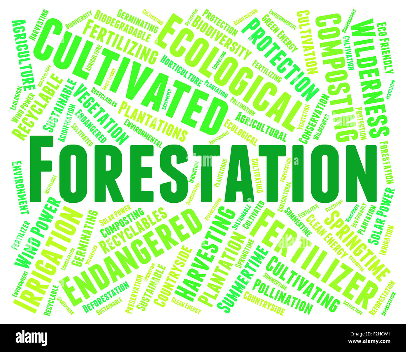 Forestation Word Showing Copice Copse And Trees Stock Photo - Alamy