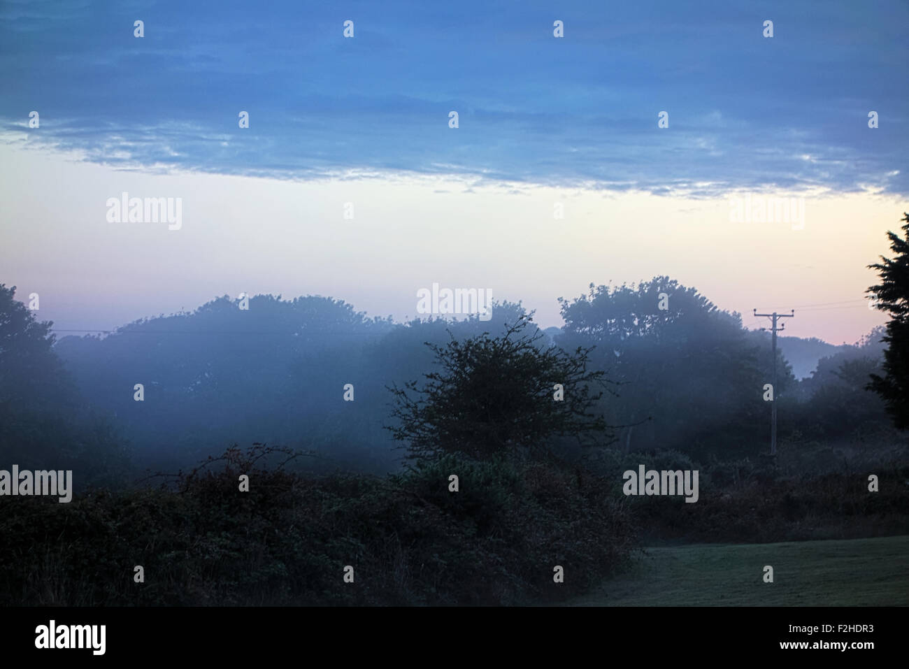 Mist at dawn in rural Cornwall UK Stock Photo - Alamy