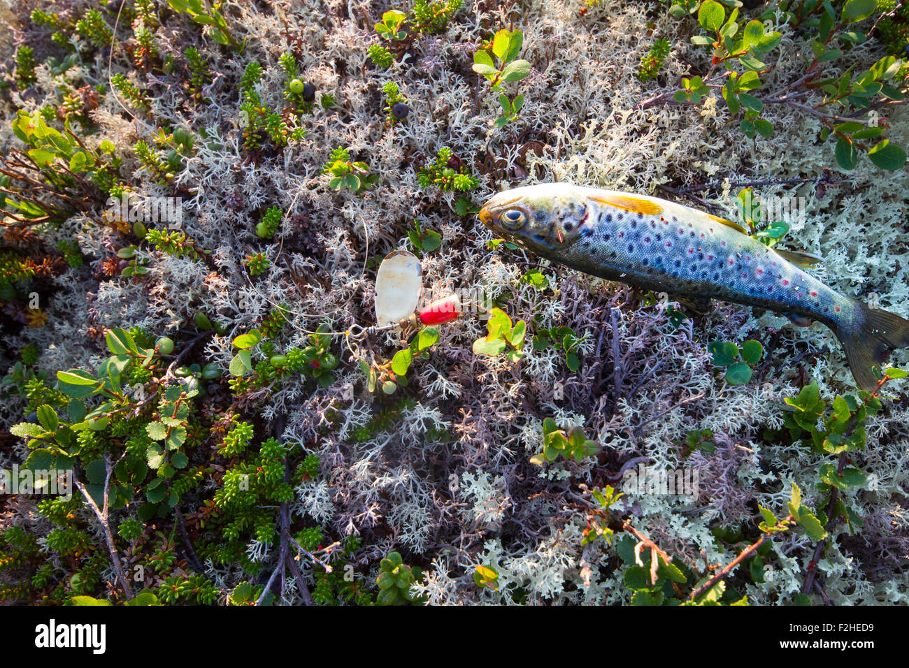 People circle catch hi-res stock photography and images - Alamy