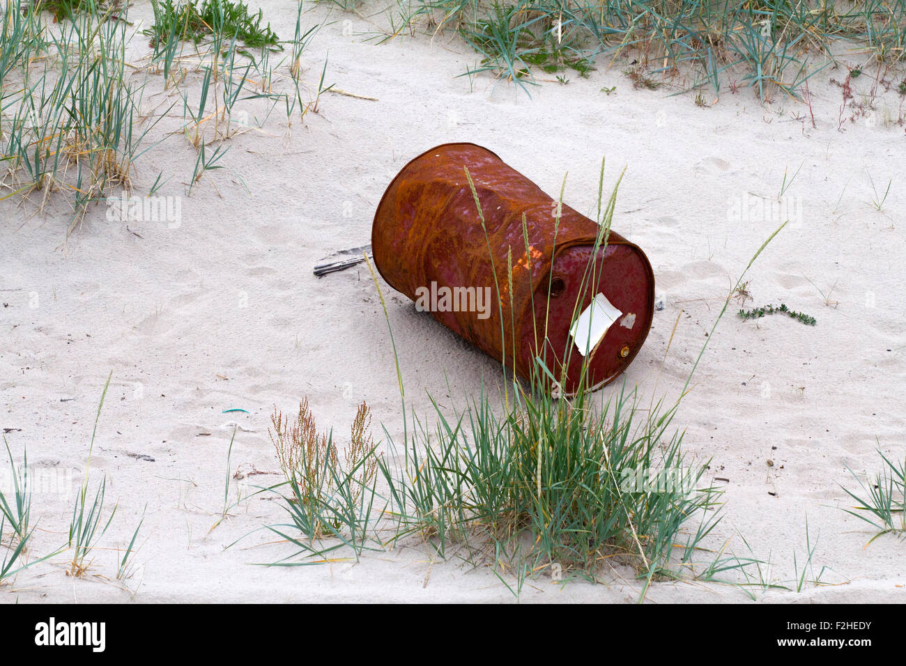 garbage a barrel among the wild nature Stock Photo - Alamy