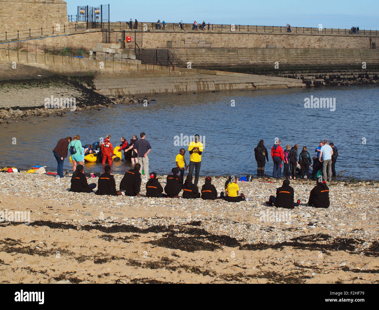 The marine life rescue charity (B.D.M.L.R) training volunteers to ...