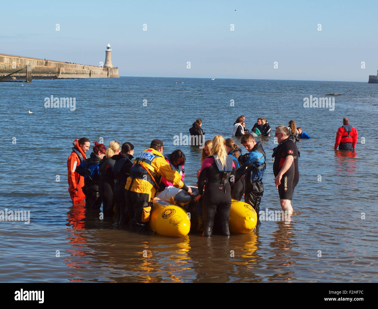 The marine life rescue charity (B.D.M.L.R) training volunteers to ...