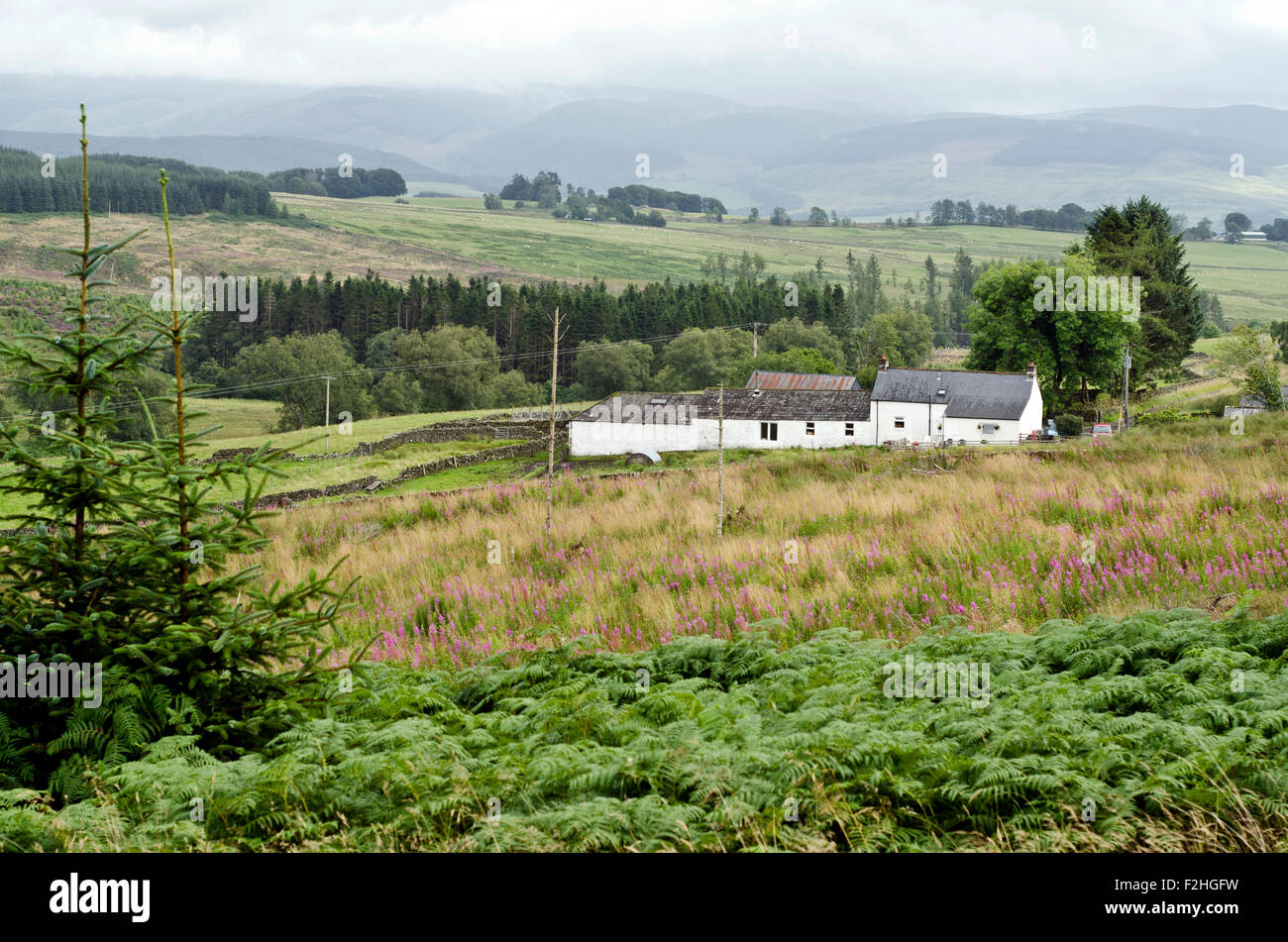 Beattock hi-res stock photography and images - Alamy