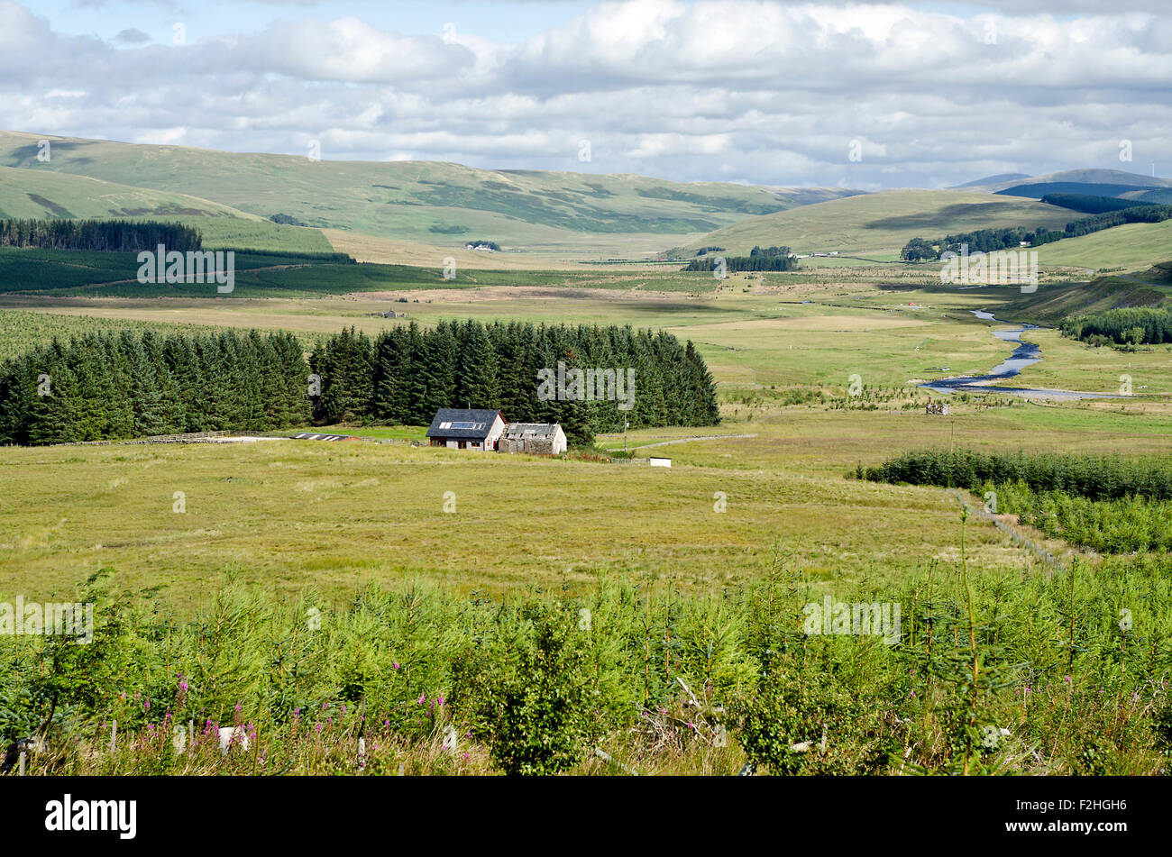 Southern Upland way close to Beattock ,Scotland Stock Photo - Alamy