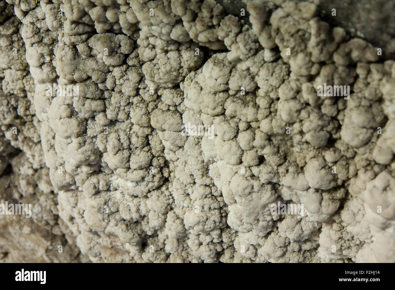 The wall in a salt mine covered with salt crystals Stock Photo - Alamy