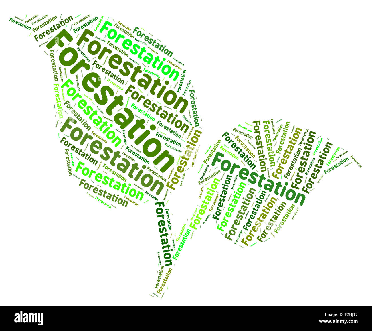 Forestation Word Representing Trees Woods And Text Stock Photo - Alamy