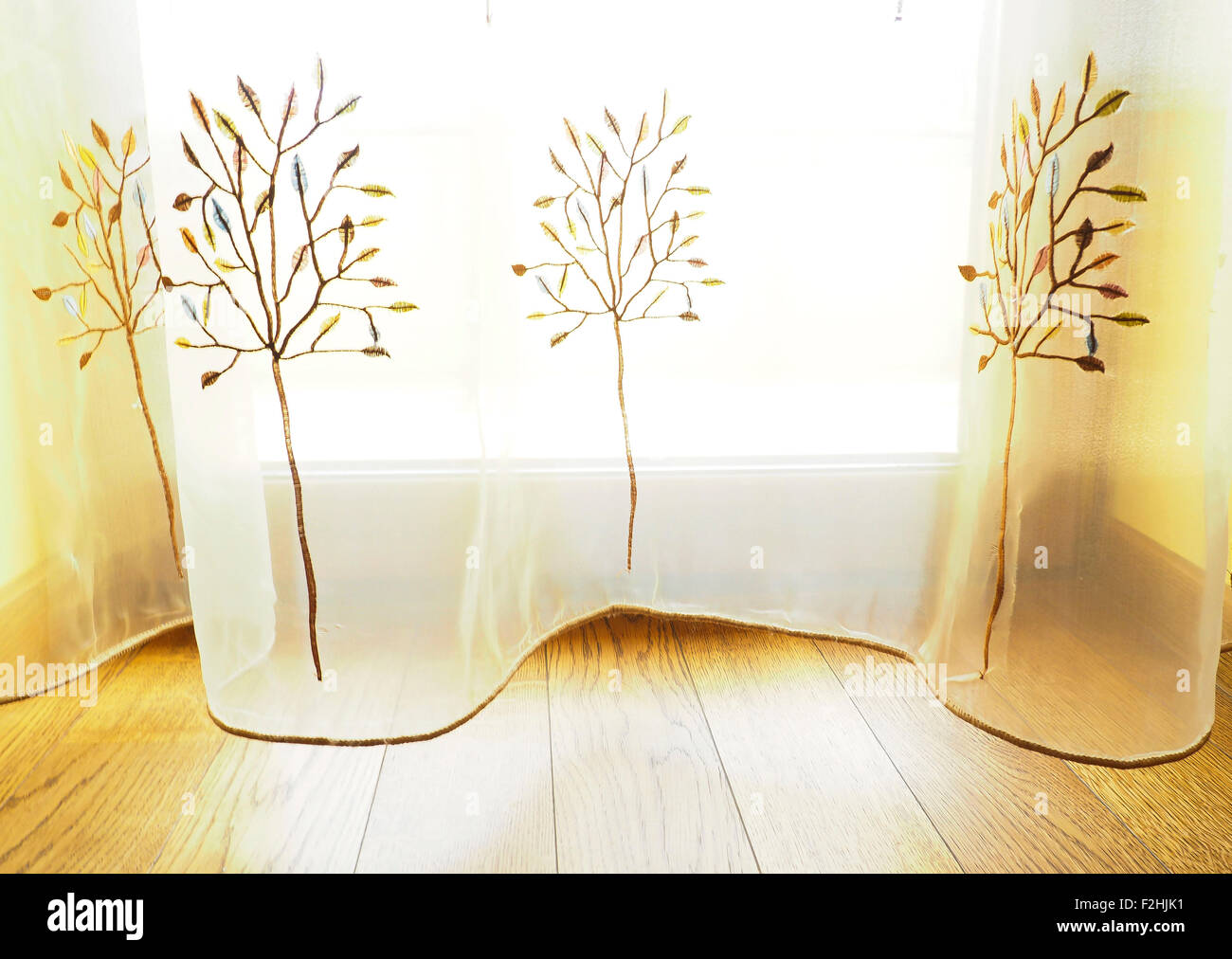 Interior white sunshine window hi-res stock photography and images - Alamy