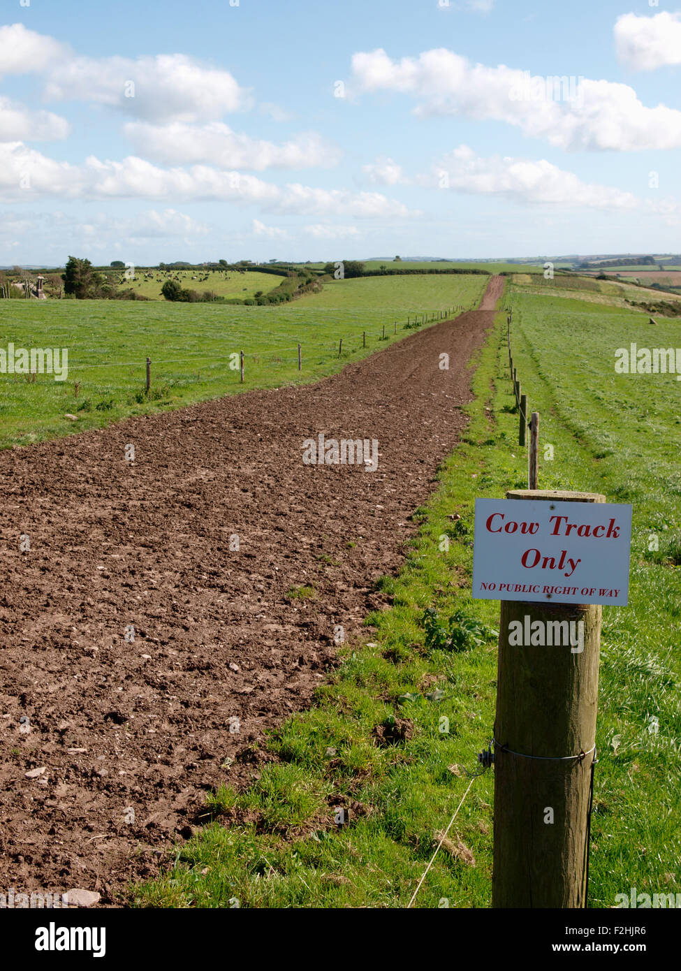 Cow track hi-res stock photography and images - Alamy