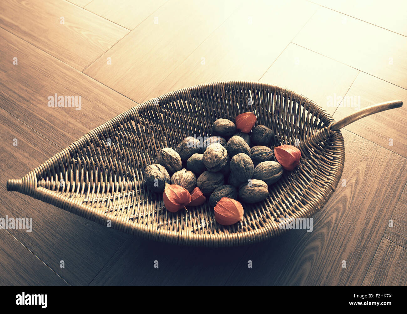 Arabian shell hi-res stock photography and images - Alamy