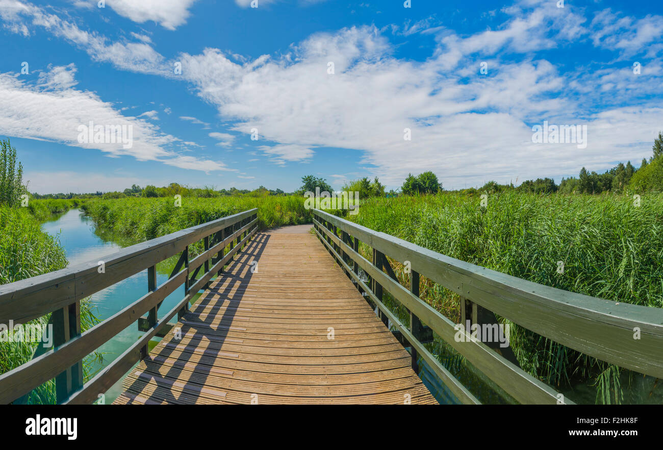 London wetland center hi-res stock photography and images - Alamy