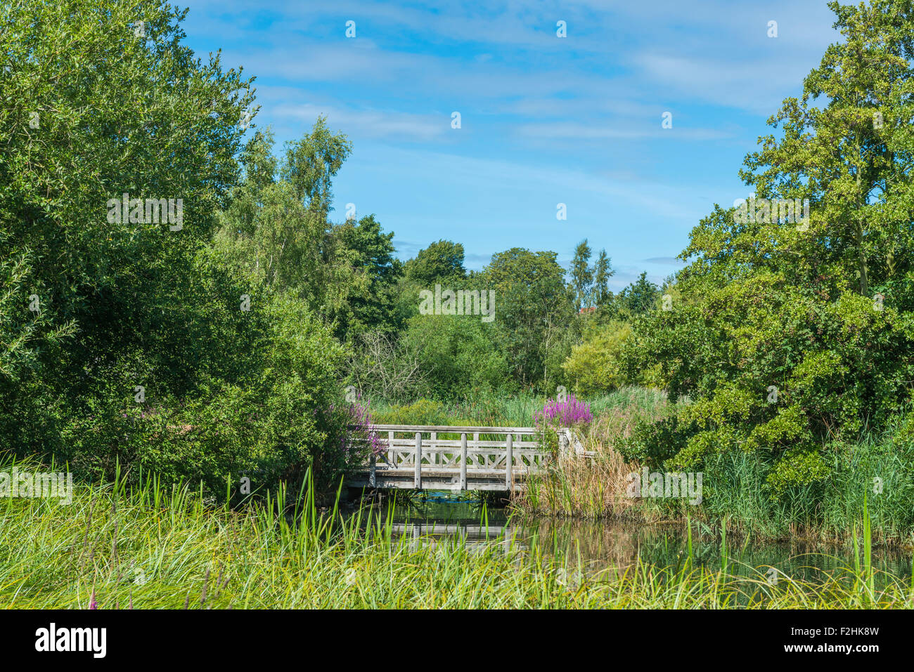 Landscape of London Wetlands Center - WWT nature reserve Stock Photo ...