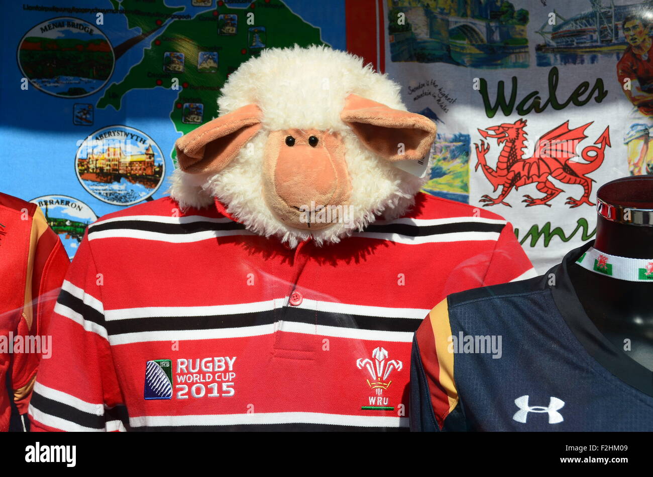 Cardiff rugby hi-res stock photography and images - Alamy