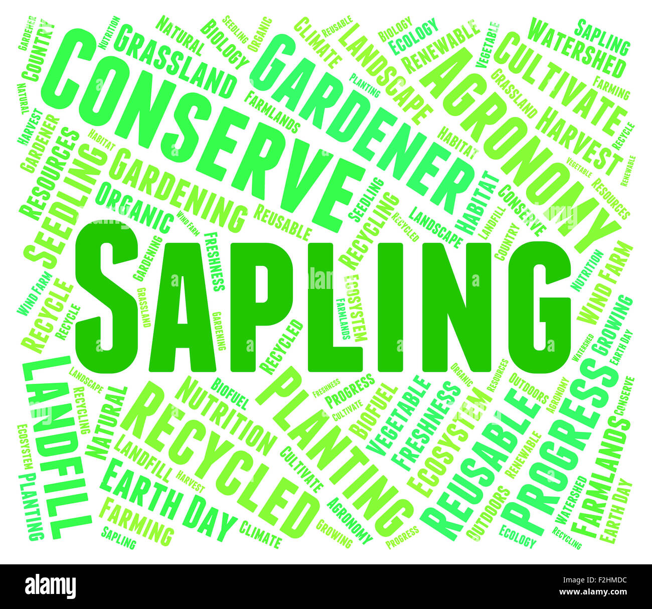 Tree sapling farm Cut Out Stock Images & Pictures - Alamy