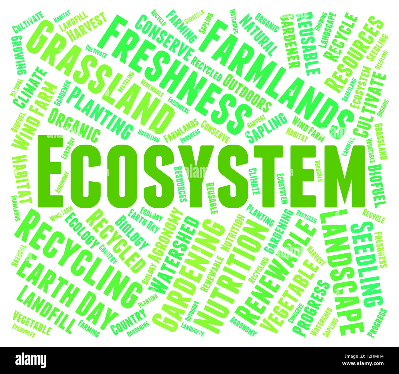 Ecosystem Word Showing Environment Biosphere And Text Stock Photo - Alamy