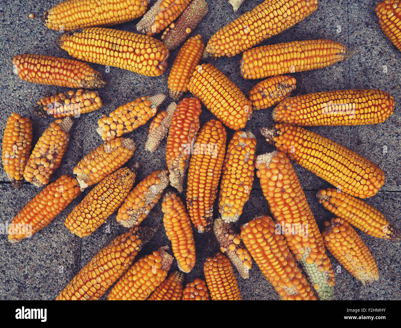 Corn natural eco products hi-res stock photography and images - Alamy