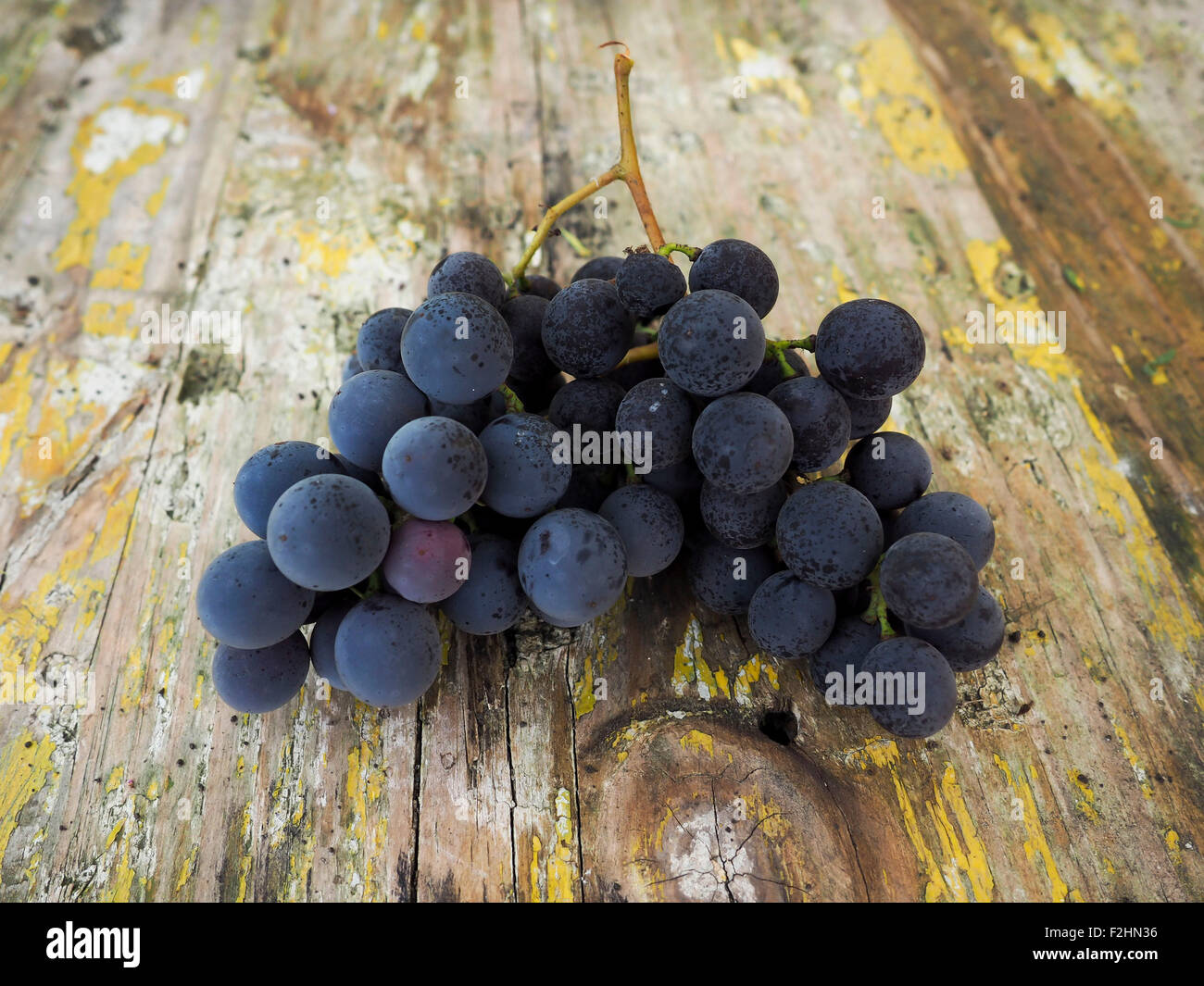 Red grapes arrangement hi-res stock photography and images - Alamy