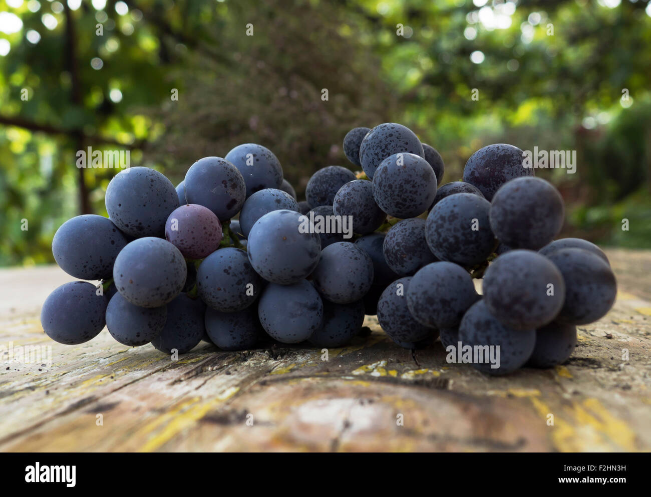 Grapes on table Stock Photo - Alamy