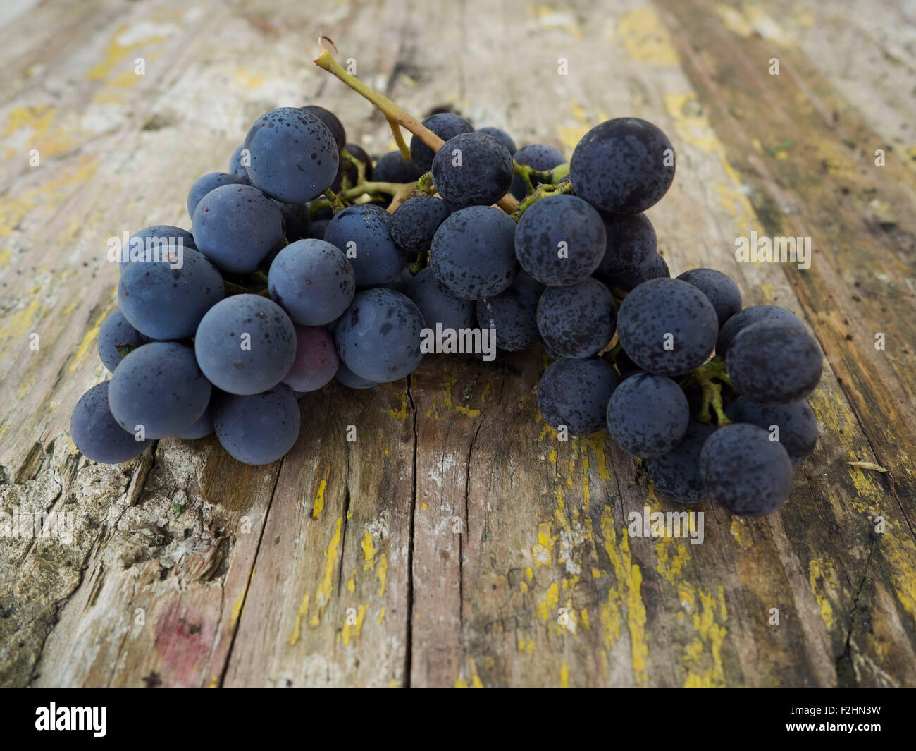 Old grapes pub hi-res stock photography and images - Alamy