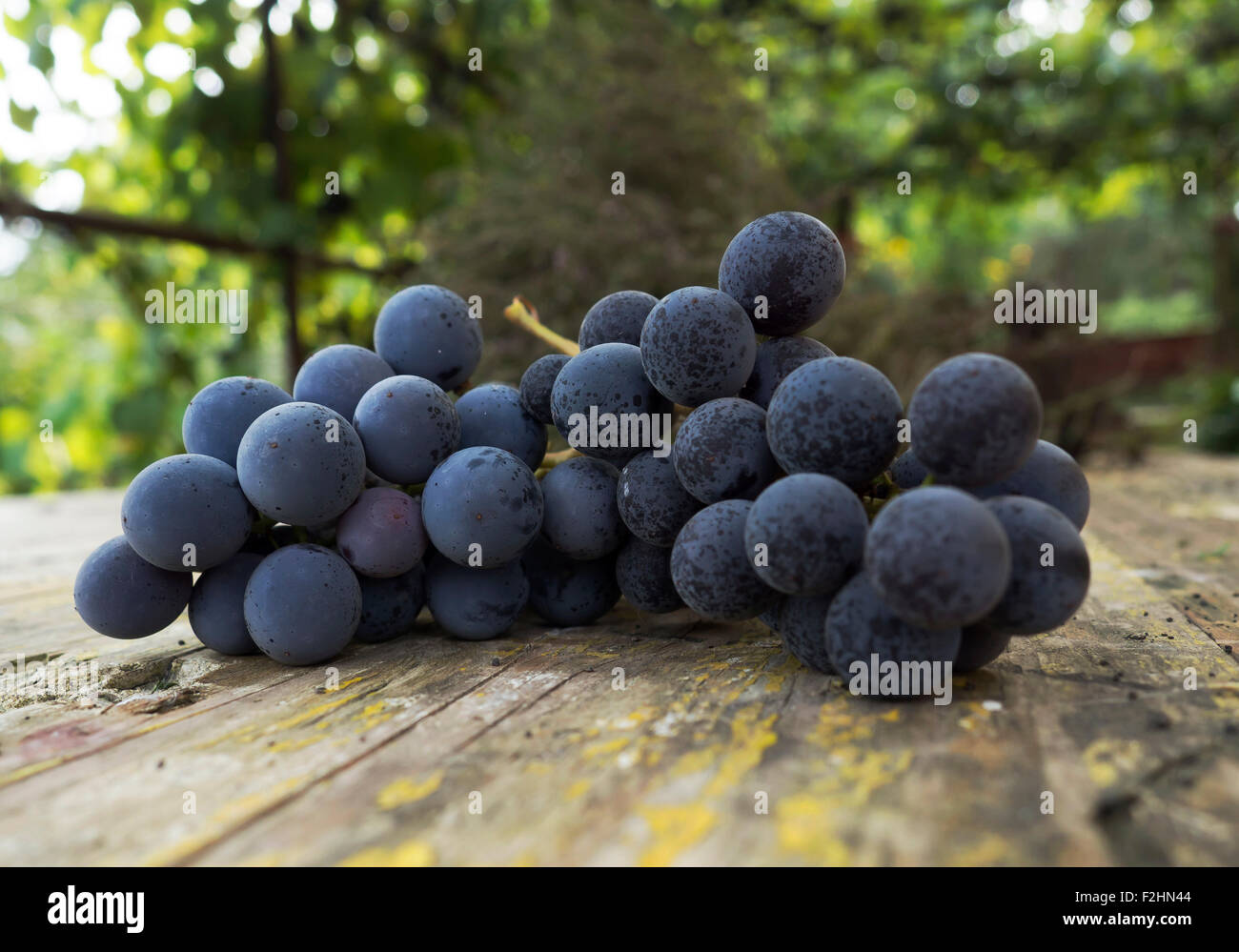 Grapes on countryside table Stock Photo - Alamy