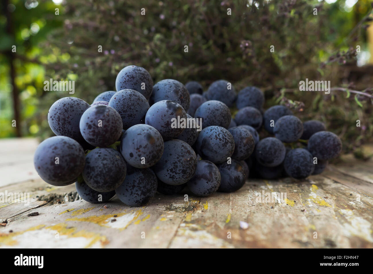 Grapes on rustic table Stock Photo - Alamy