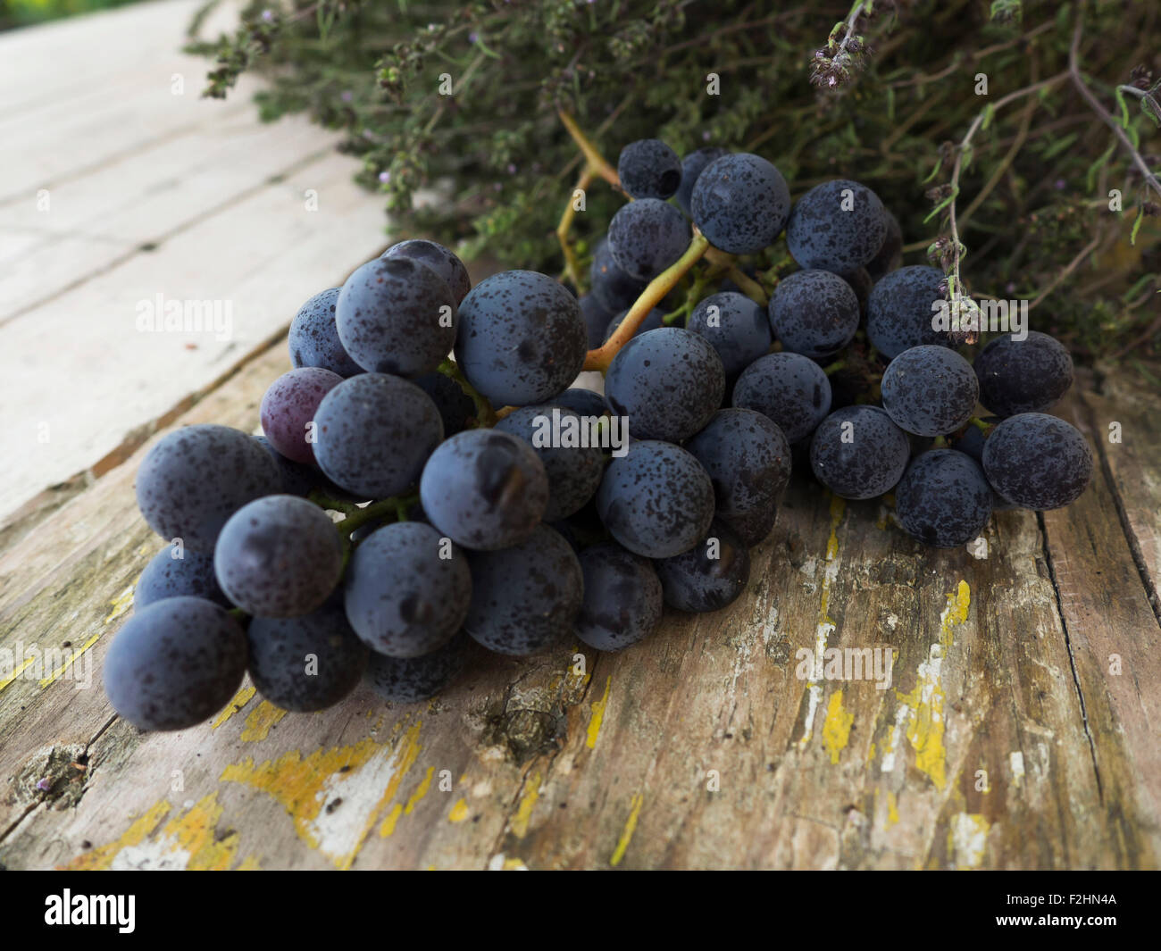 Grapes on rustic table Stock Photo - Alamy