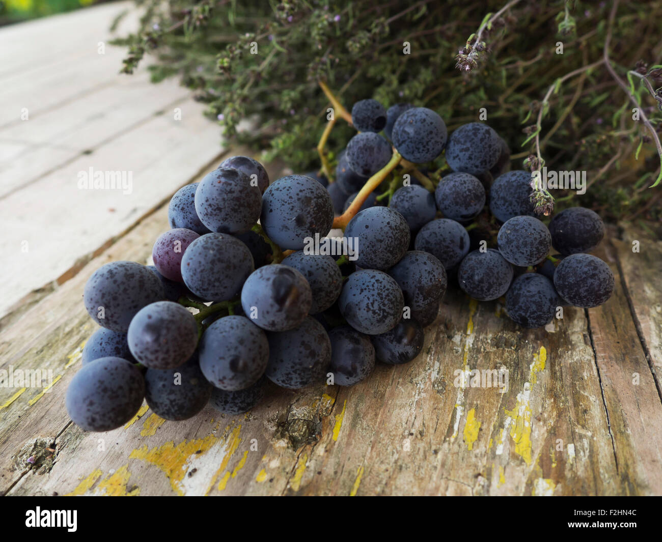 Grapes on a countryside table Stock Photo - Alamy