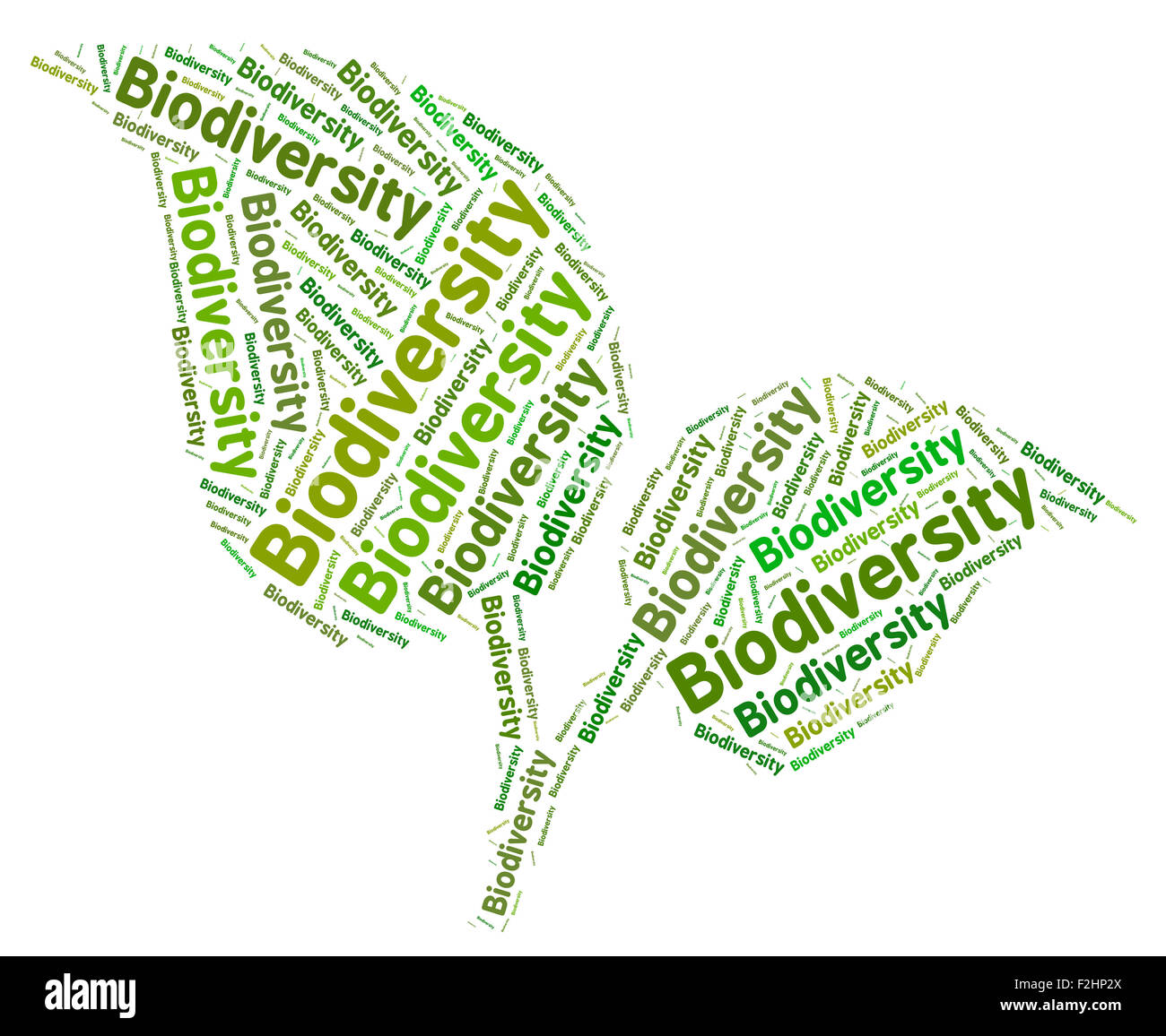 Biodiversity plant Cut Out Stock Images & Pictures - Alamy