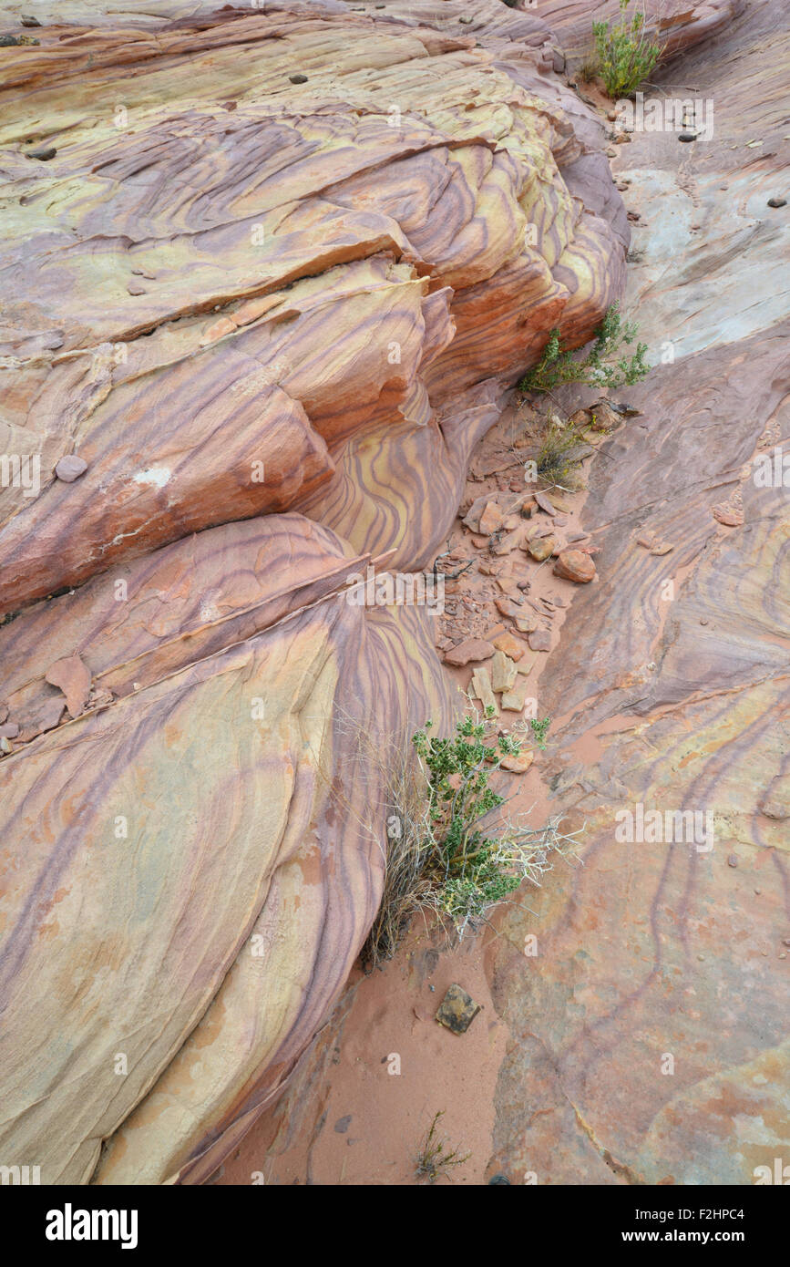 Colorful sandstone is everywhere at Valley of Fire State Park northeast ...