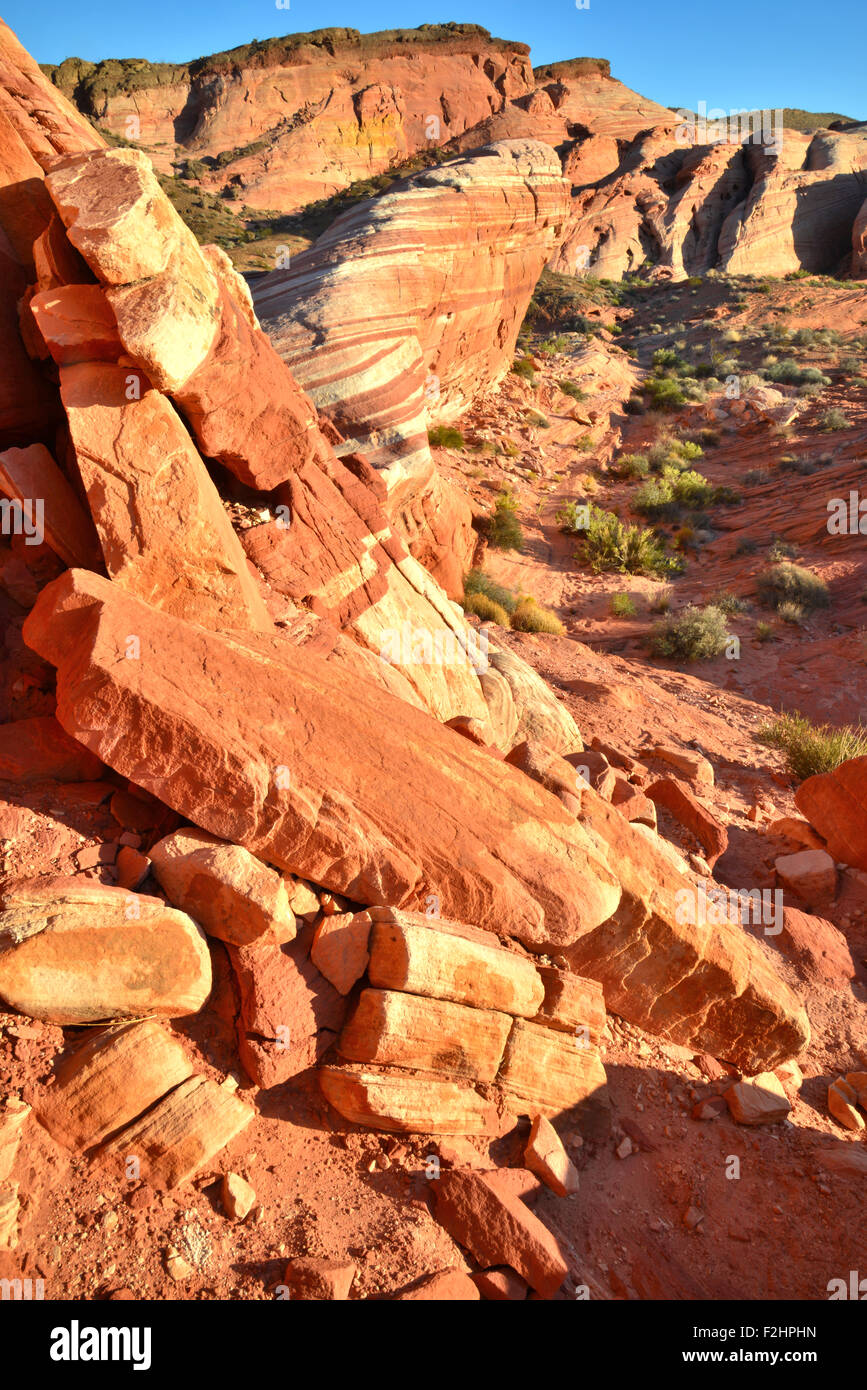 Colorful wavy sandstone shapes, and dunes in Valley of Fire State Park ...