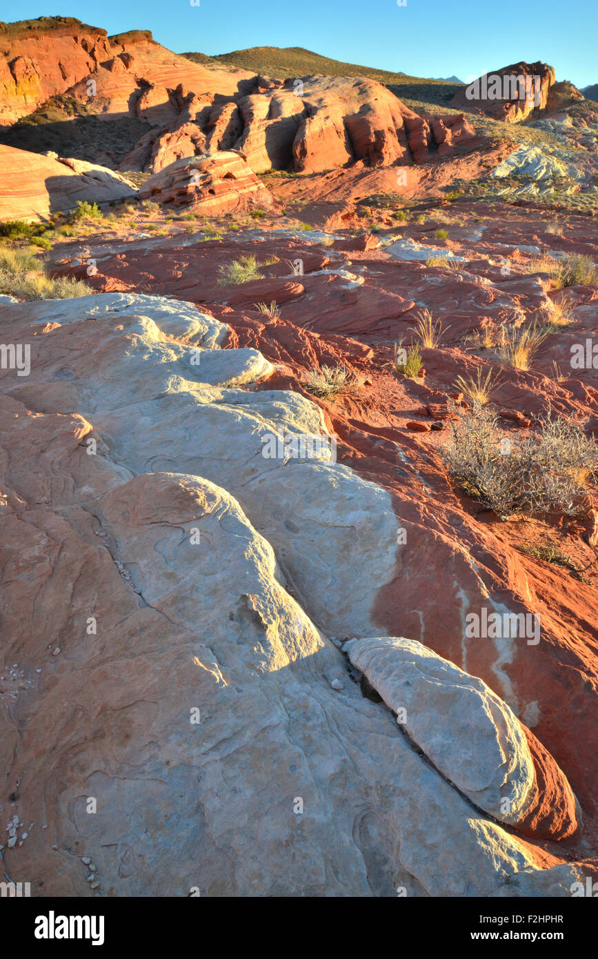 Colorful wavy sandstone shapes, and dunes in Valley of Fire State Park ...