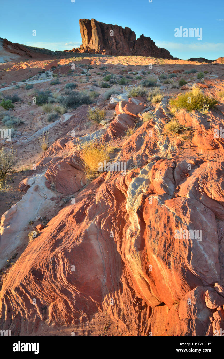 Colorful wavy sandstone shapes, and dunes in Valley of Fire State Park ...