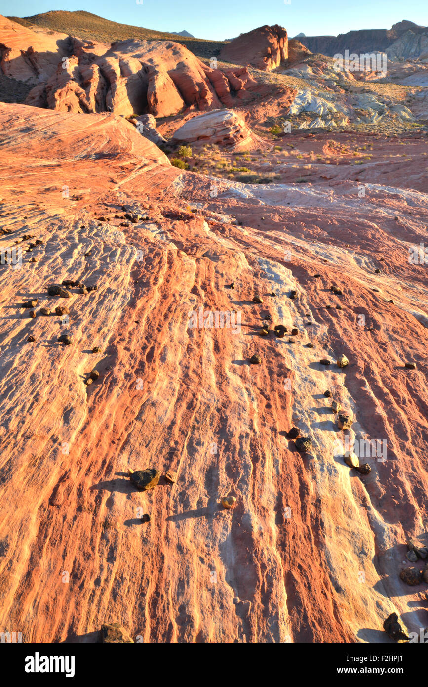 Colorful wavy sandstone shapes, and dunes in Valley of Fire State Park ...