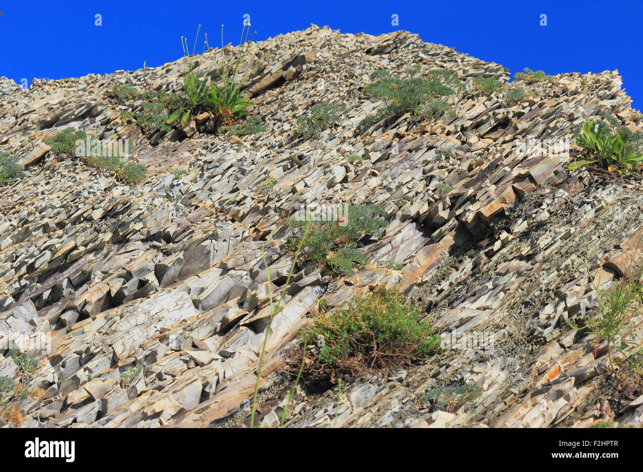 The coastal part of the steep mountain slopes with partially destroyed ...
