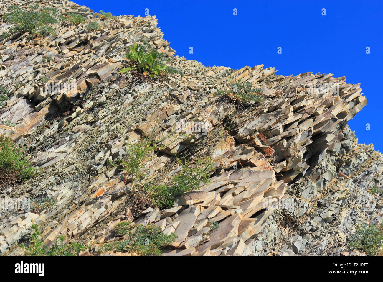The coastal part of the steep mountain slopes with partially destroyed ...