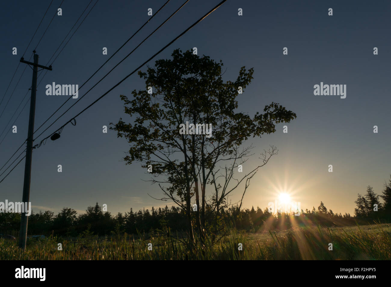 Field alongside road hi-res stock photography and images - Alamy