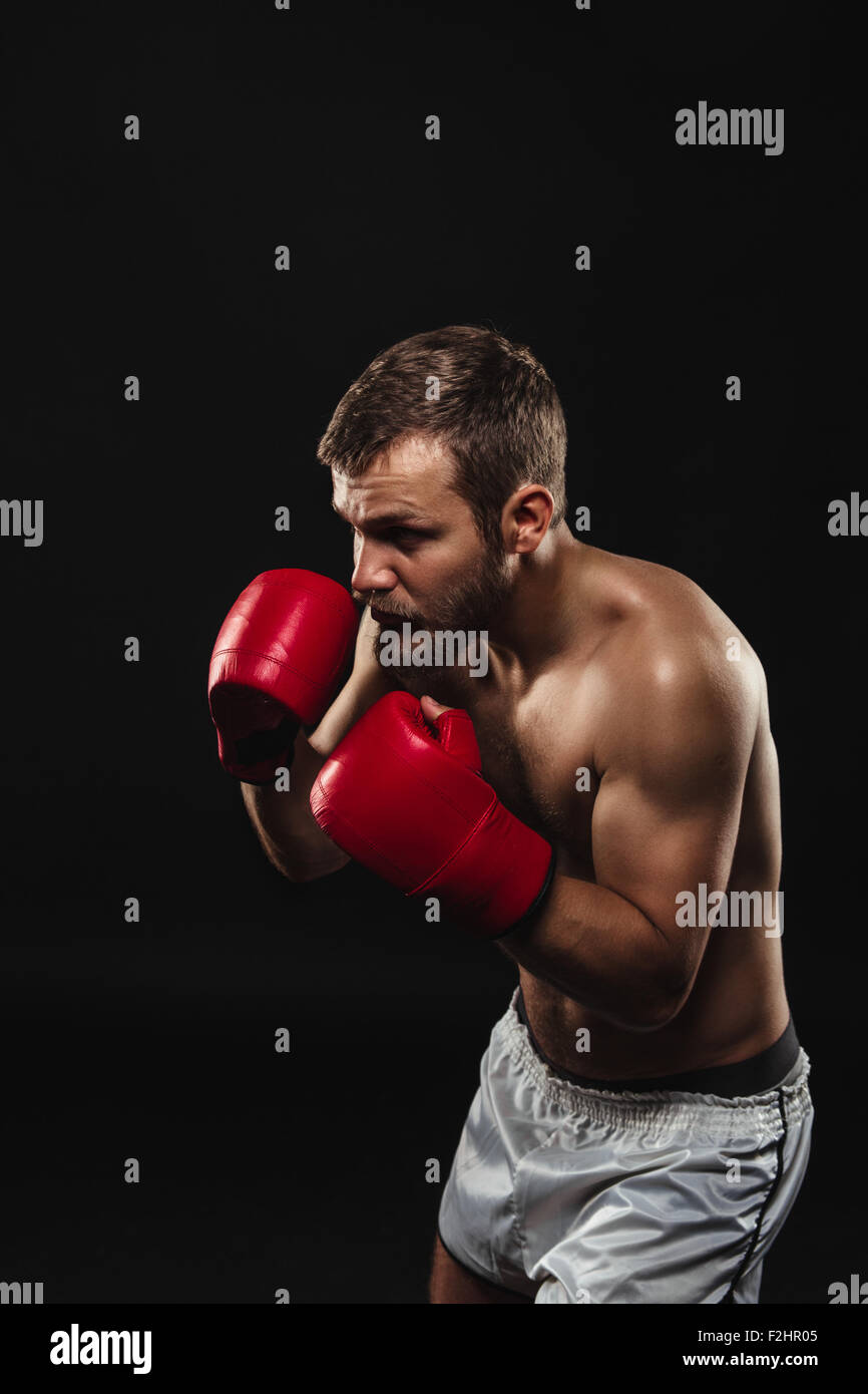 Athletic bearded boxer with gloves on a dark background Stock Photo - Alamy