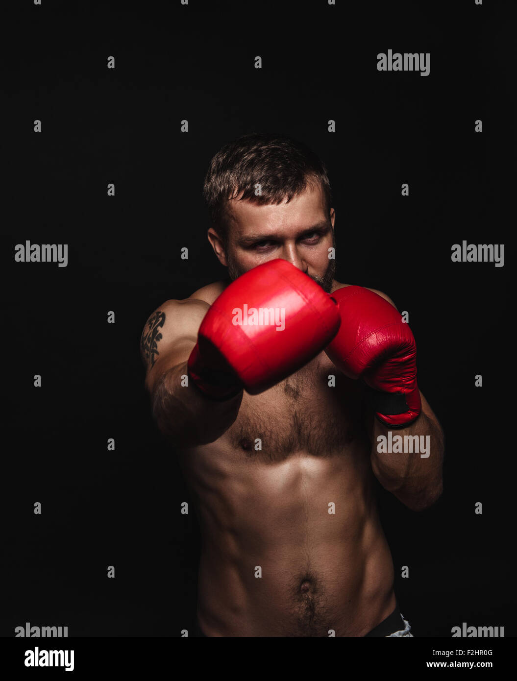Athletic bearded boxer with gloves on a dark background Stock Photo - Alamy