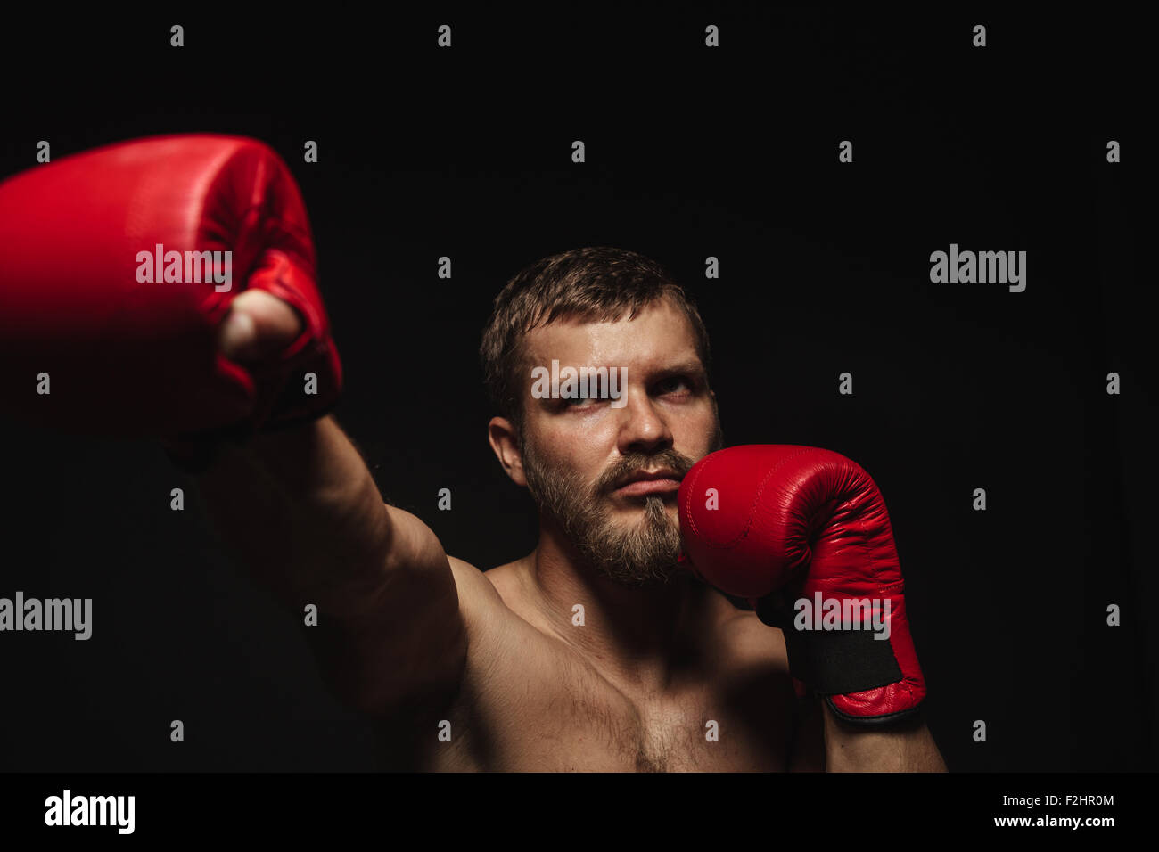 Athletic bearded boxer with gloves on a dark background Stock Photo - Alamy
