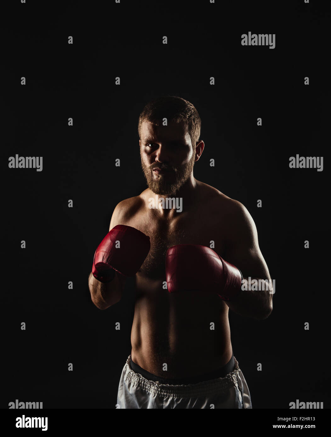 Athletic bearded boxer with gloves on a dark background Stock Photo - Alamy