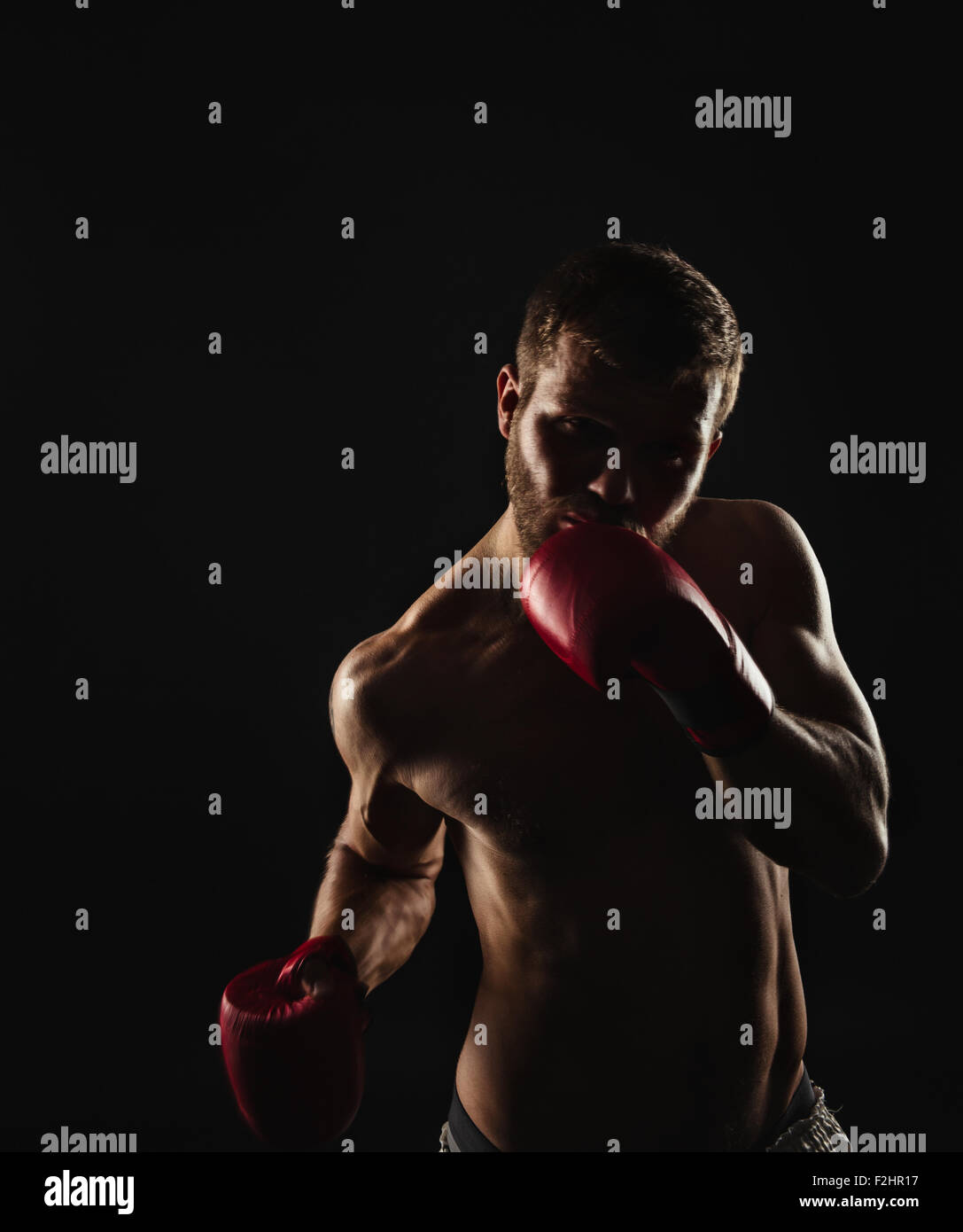 Athletic bearded boxer with gloves on a dark background Stock Photo - Alamy