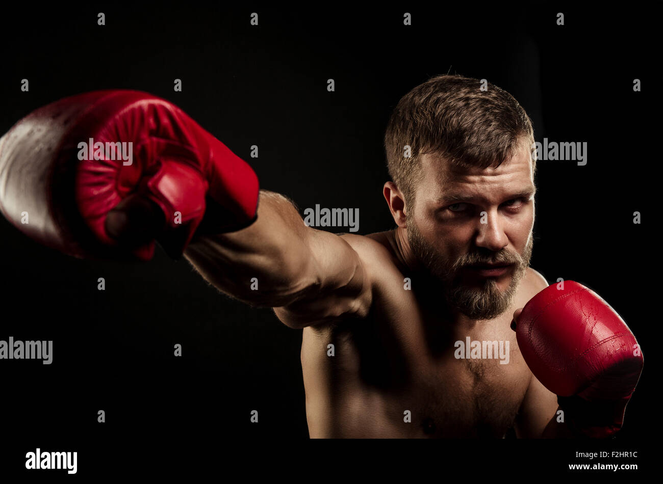 Athletic bearded boxer with gloves on a dark background Stock Photo - Alamy
